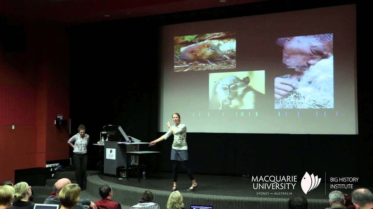 Big History, Big History Project and the Australian Curriculum - YouTube