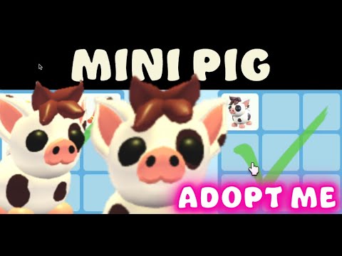 🐖TRADING for a MINI PIG🐷from the STATE FAIR UPDATE 2024! 🐽 The CUTEST ...