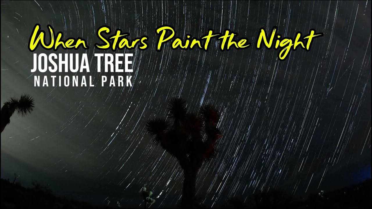 Stars in Motion | Joshua Tree National Park Nightscape #joshuatree ...