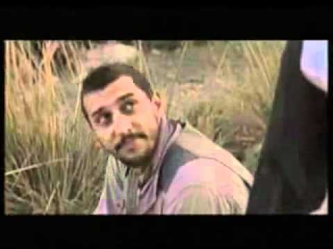 Viola di mare - Trailer italiano cucinotta