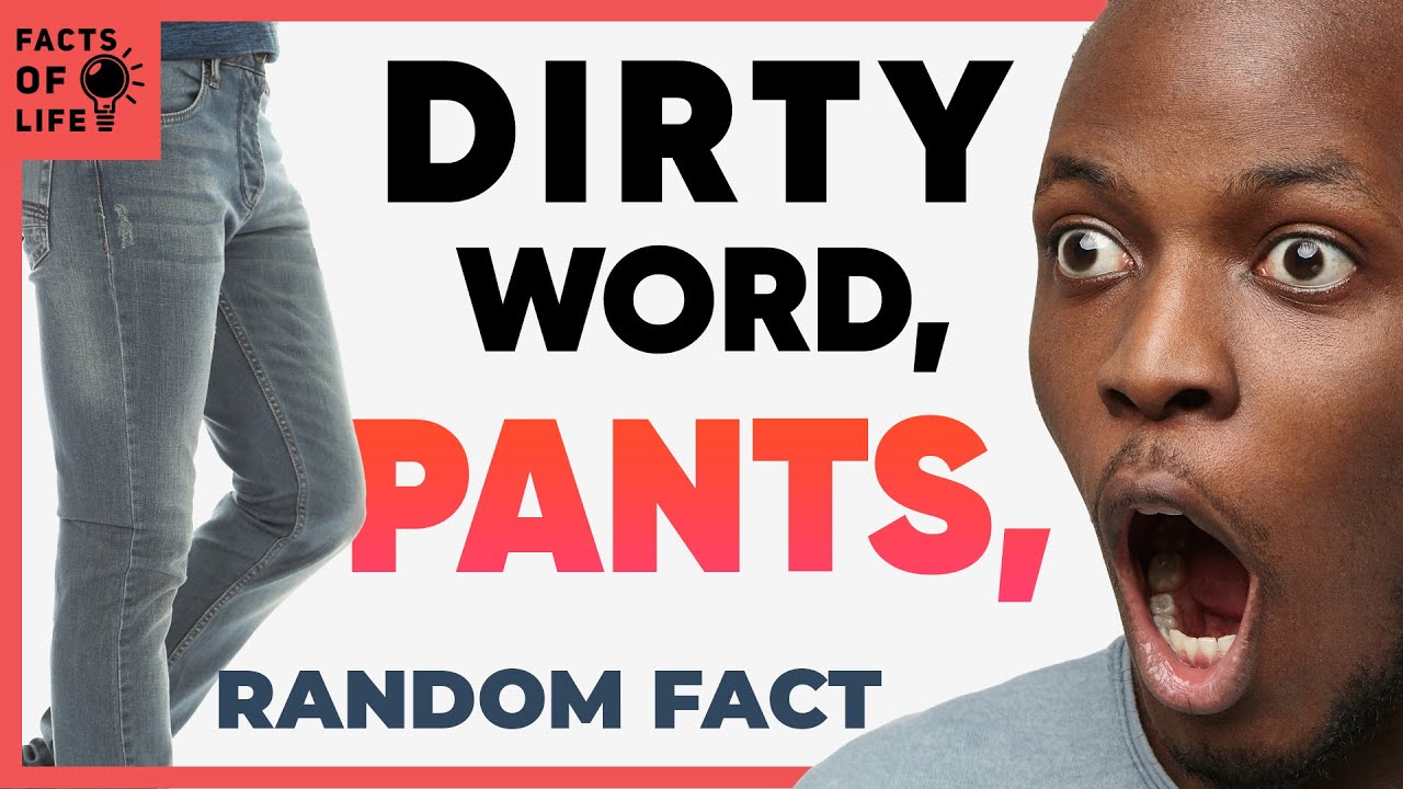 19 Amazing Random Facts You Probably Did Not Know | Find Out 19 ...