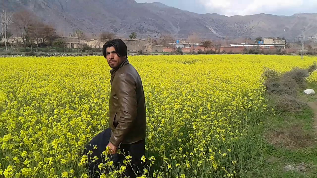 Alingar mohmand agency - YouTube