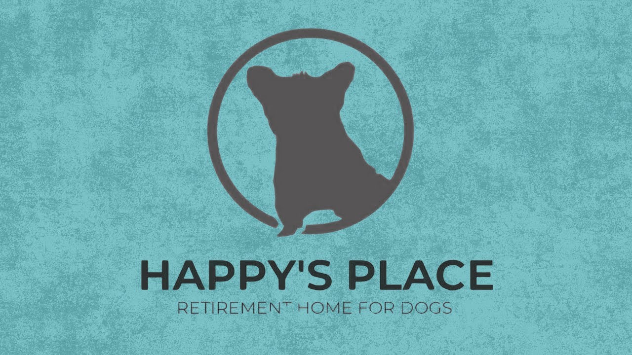 Happy's Place Retirement Home for Senior Dogs - YouTube