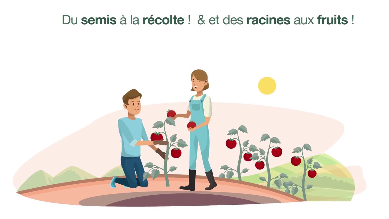 Biostimulation 360º by Tradecorp - FR - YouTube