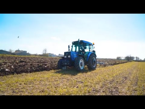 New Holland 75-56s