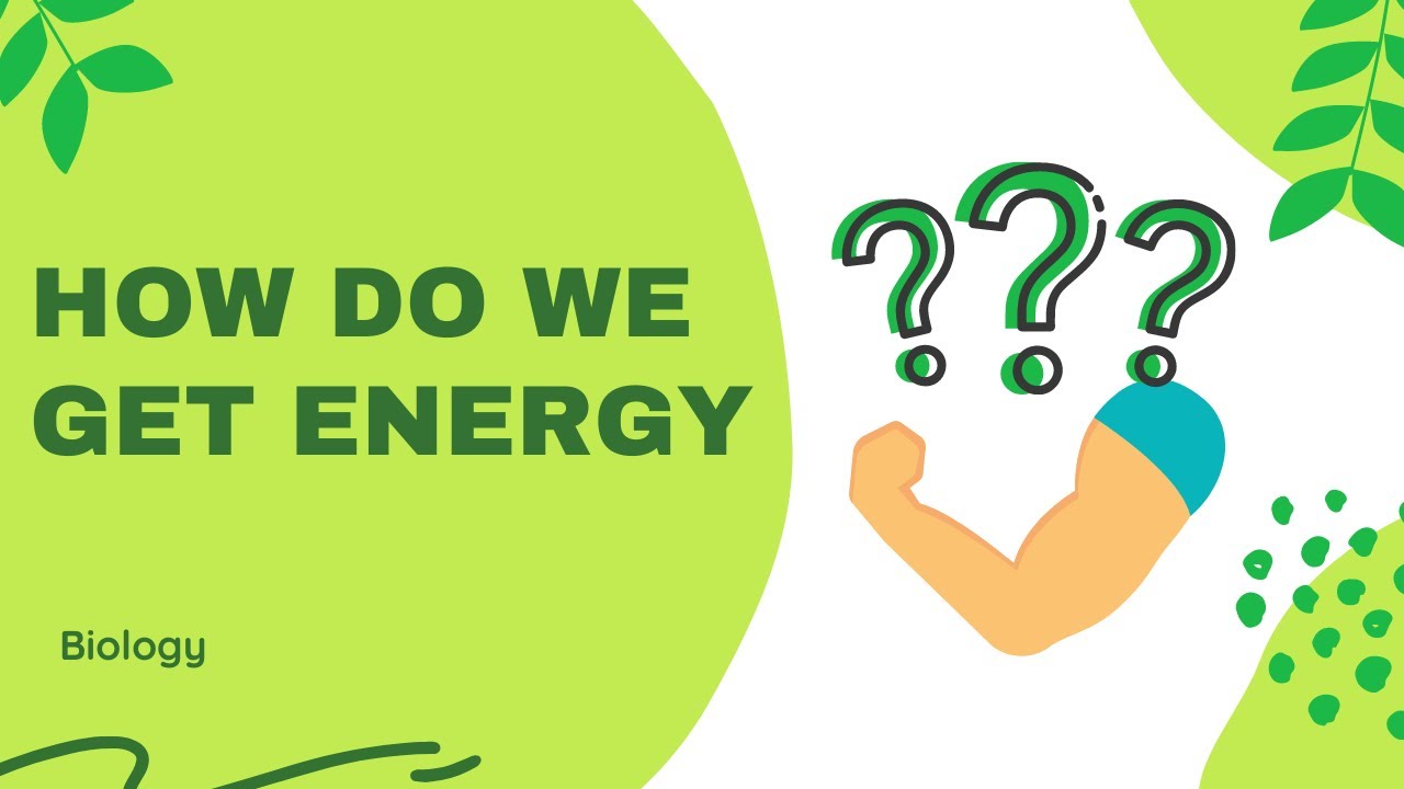 How do we get energy ? || Biology || Kids Science || Wizartist - YouTube