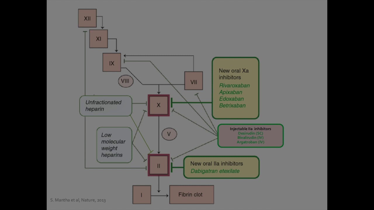 Core Content Dr Jordan Dow & Dr Sage Wiener Hematology Oncology - YouTube