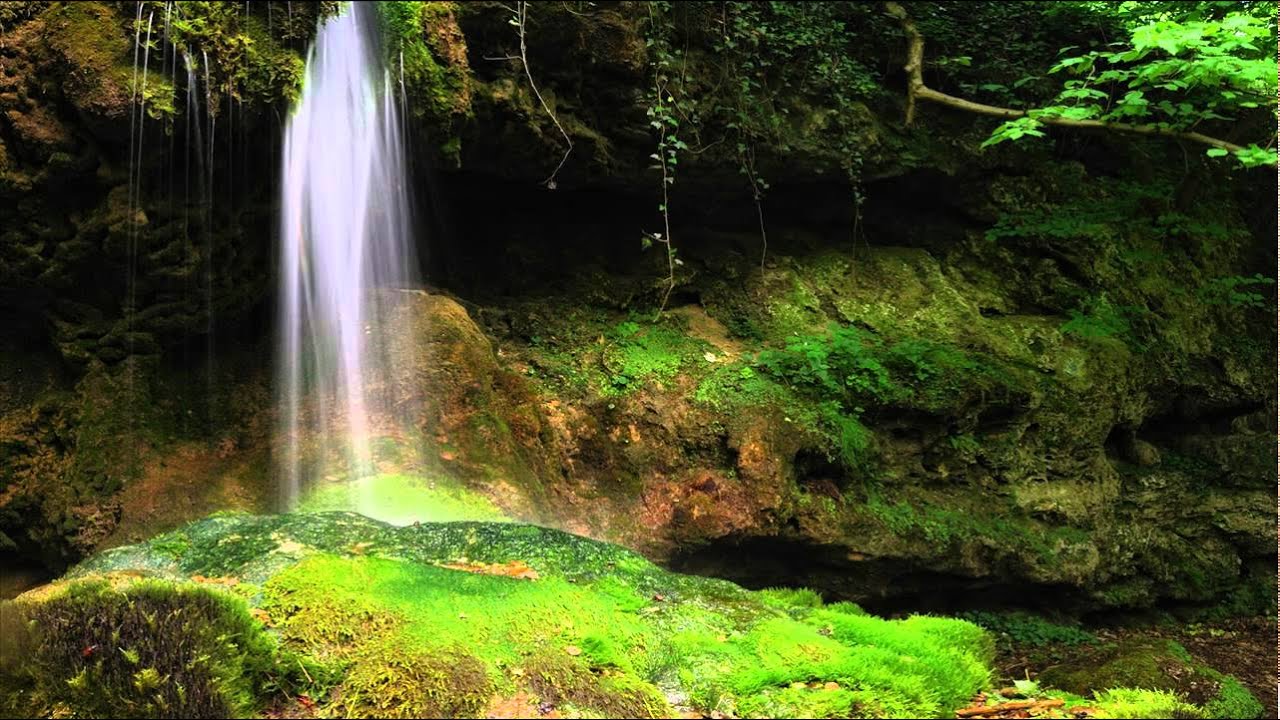 Neal Scarborough - Sequoia (Daniel Kandi's Bangin' Mix) - YouTube