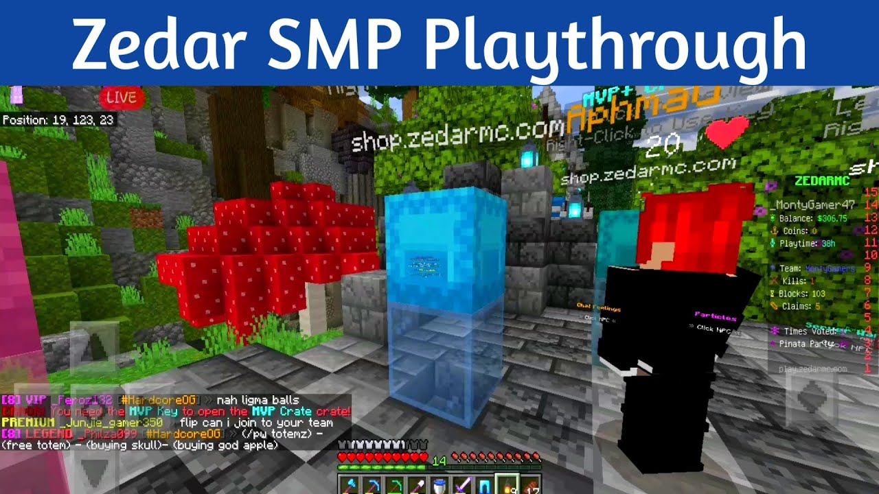 Playing on ZedarSMP server - YouTube