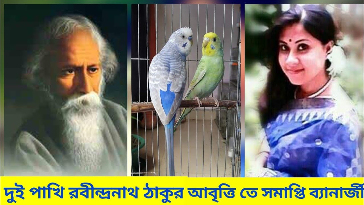 Dui Pakhi ||Rabindranath Tagore || দুই পাখি || রবীন্দ্র কবিতা || - YouTube