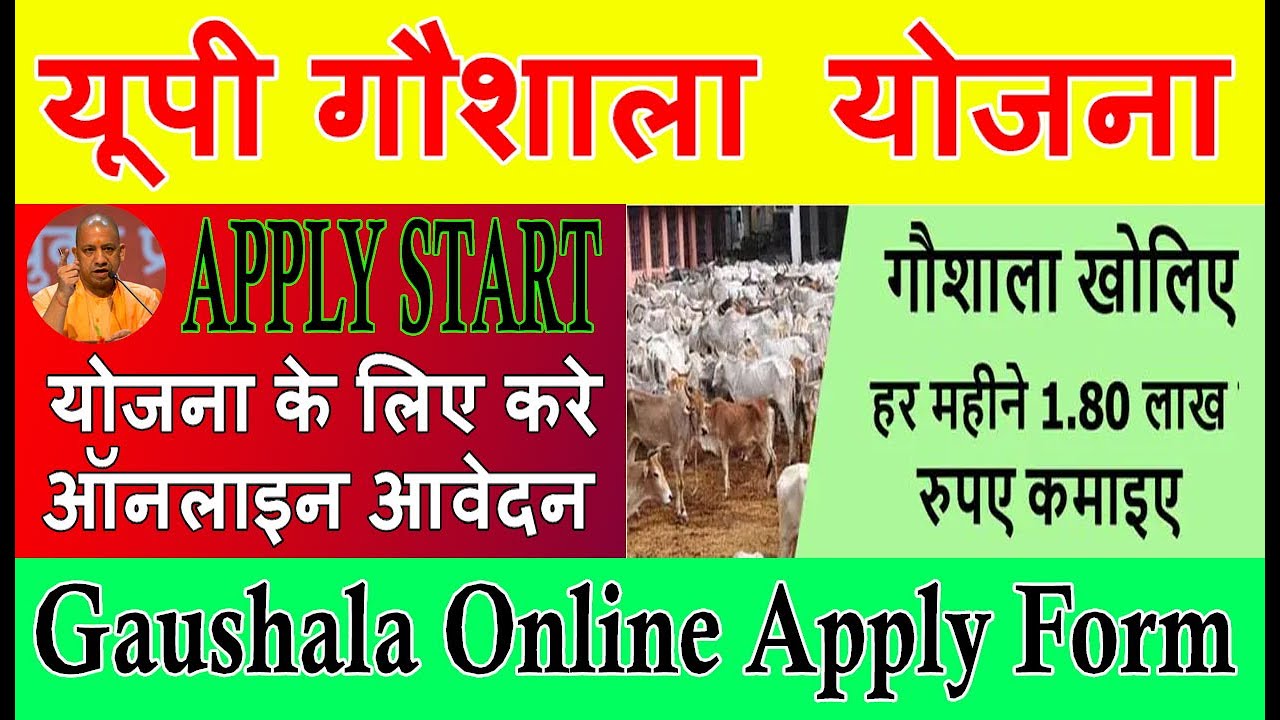 उत्तरप्रदेश गौशाला योजना 2021 खोलिए हर महीने 1.80 लाख रुपए कमाइए ...