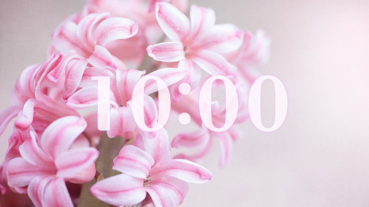 10 Minute Timer - Pink Flowers - YouTube