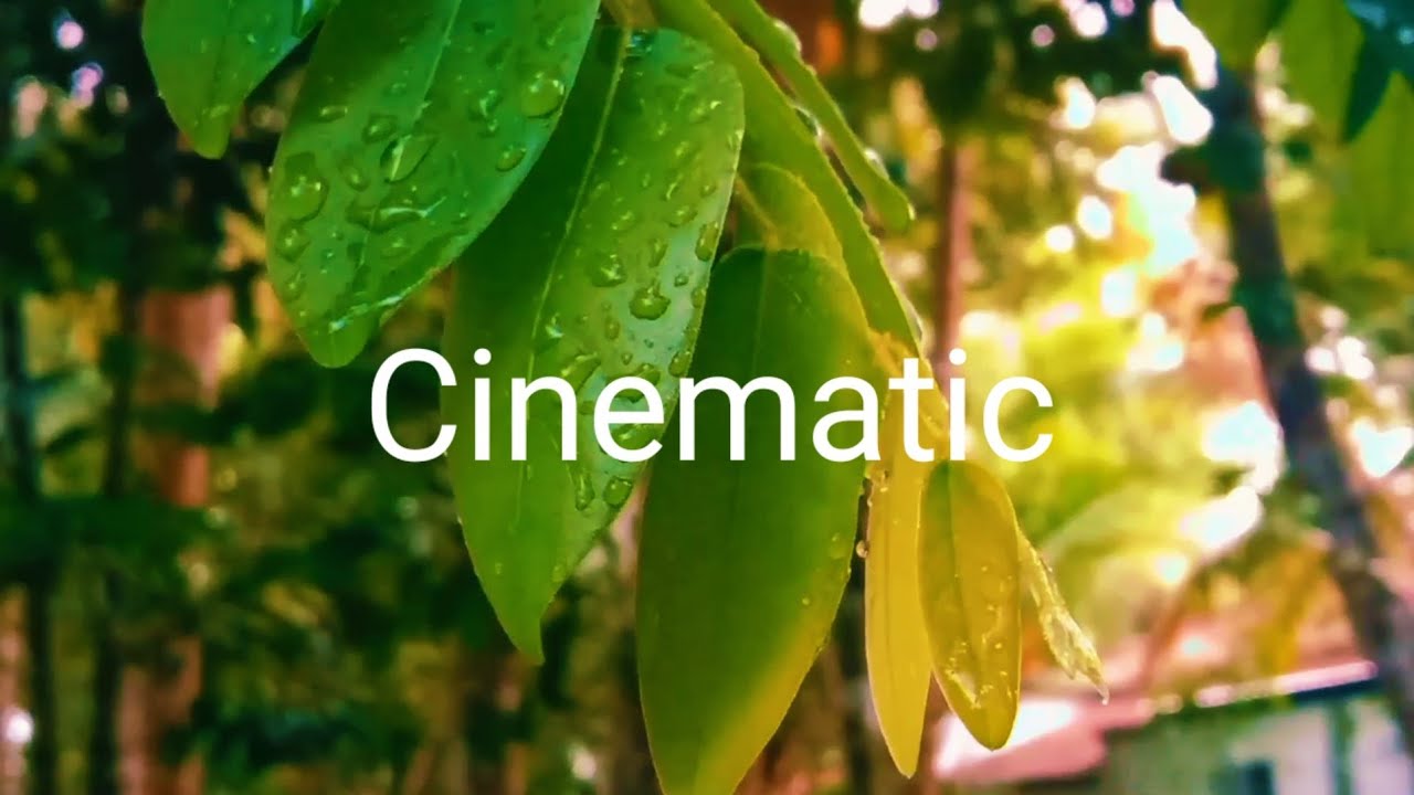 CINEMATIC ALAM | NATURE CINEMATIC - YouTube