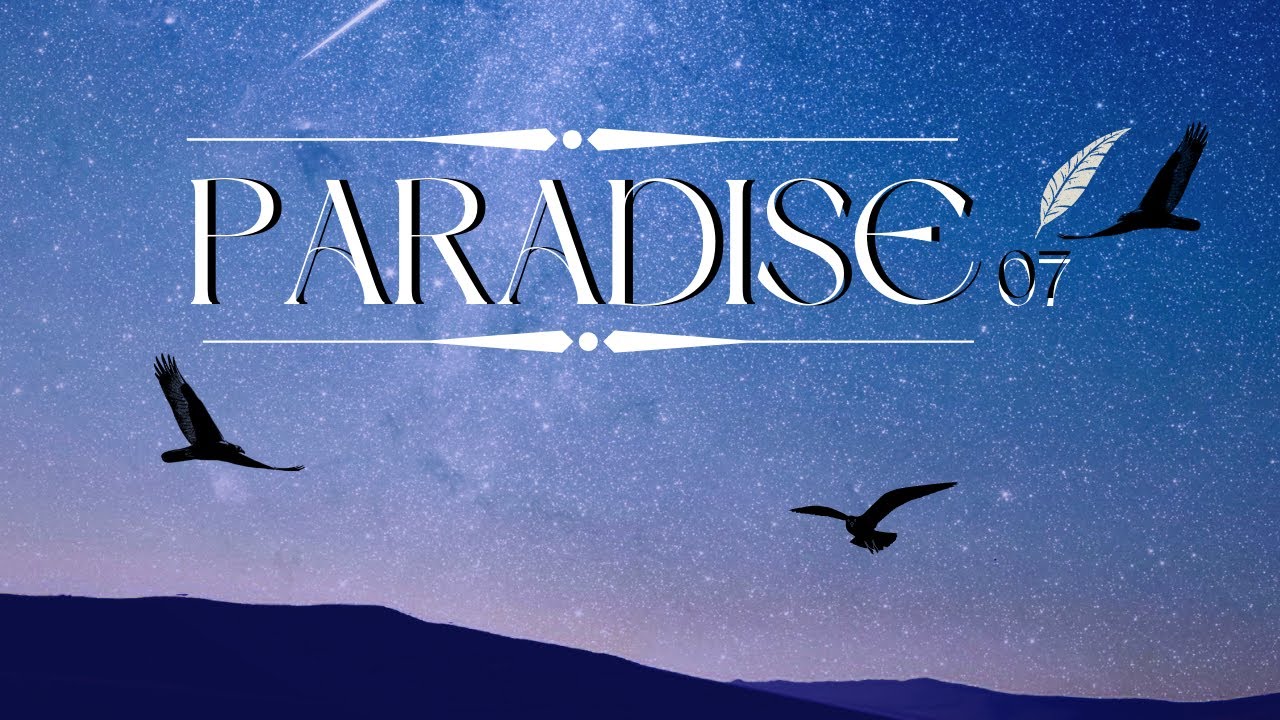 Martin Bravo Dj - PARADISE 07 - YouTube Music