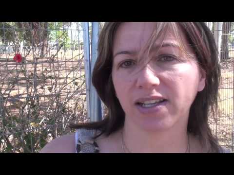 Alice Storey Phone Number, Address, Age, Contact Info, Public Records ᐈ ...