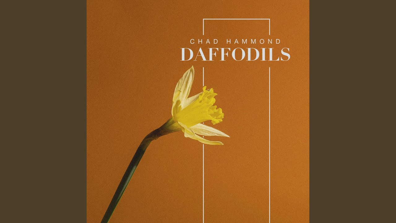 Daffodils - YouTube