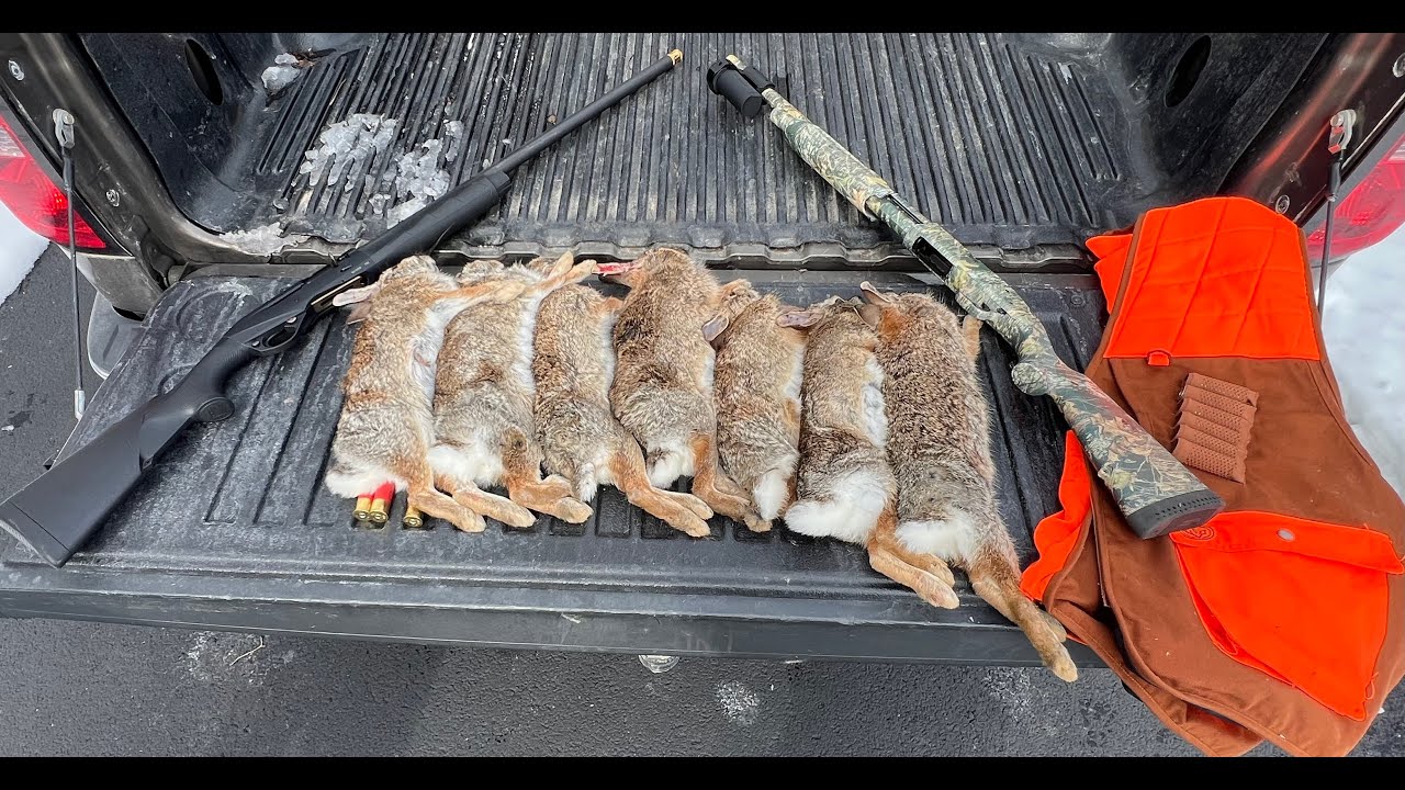 Hunting giant rabbits in deep snow! Late season - YouTube
