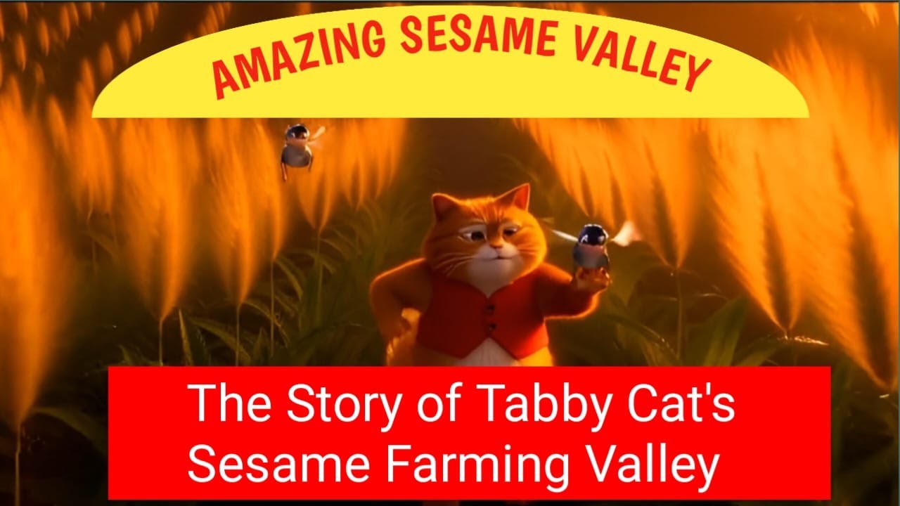 The Story of Tabby Cat's Sesame Farming Valley #catsvideo #cat # ...