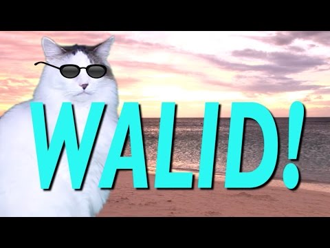 HAPPY BIRTHDAY WALID! - EPIC CAT Happy Birthday Song - YouTube