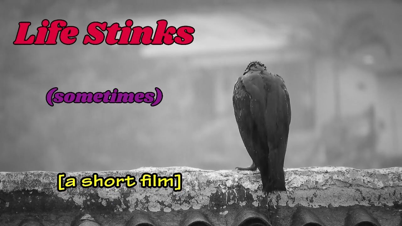 Life Stinks (sometimes) - YouTube