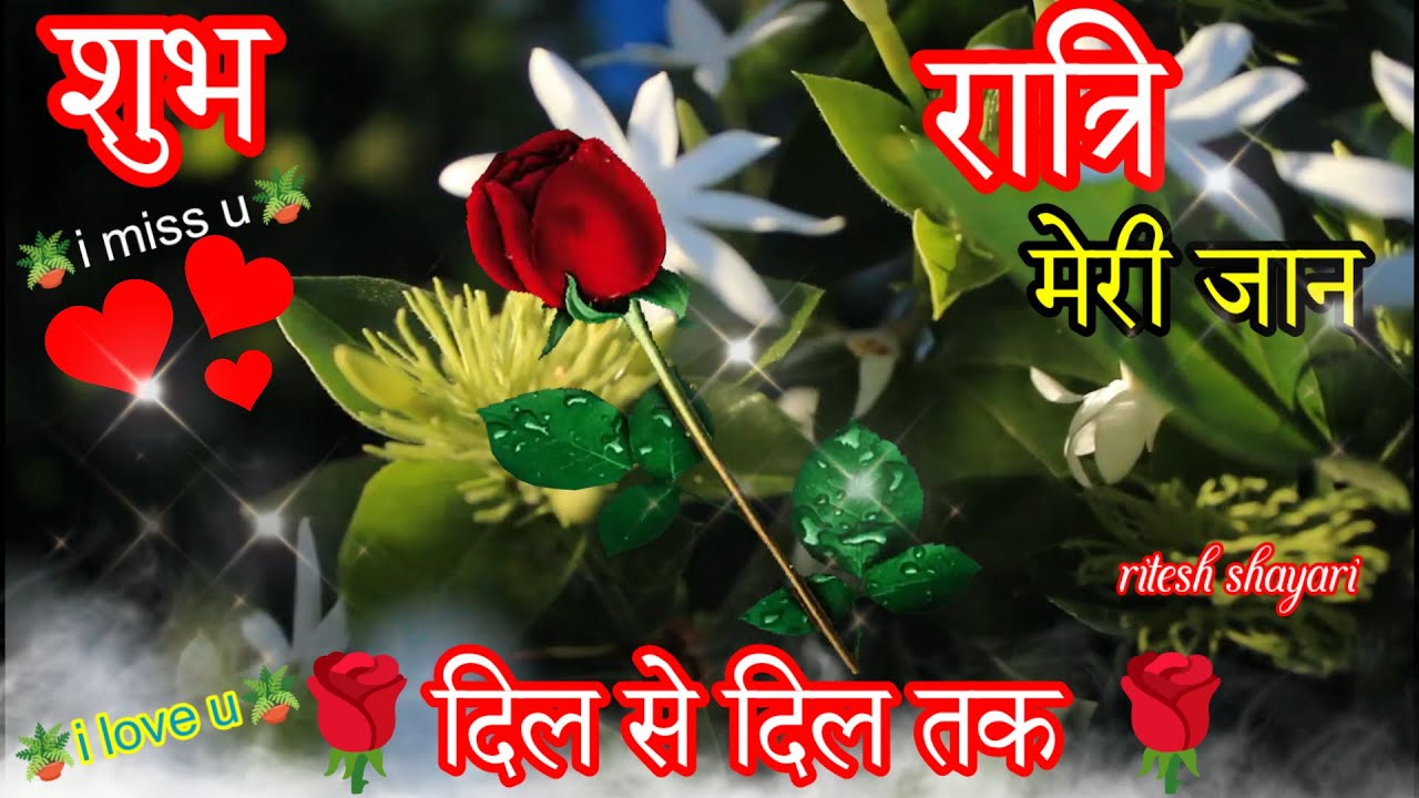 Good night status ️ love night status 2024💘Dil se Dil tak🌹Hindi shayari ...