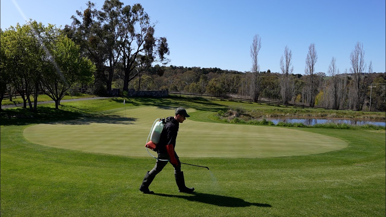 Deep Green Results – PGR + Lawn Tips Mix - YouTube