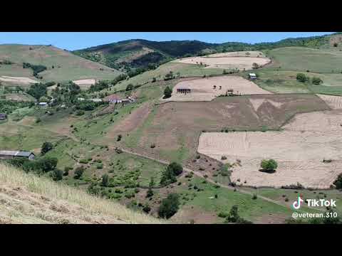 Yardımlı Rayonu 