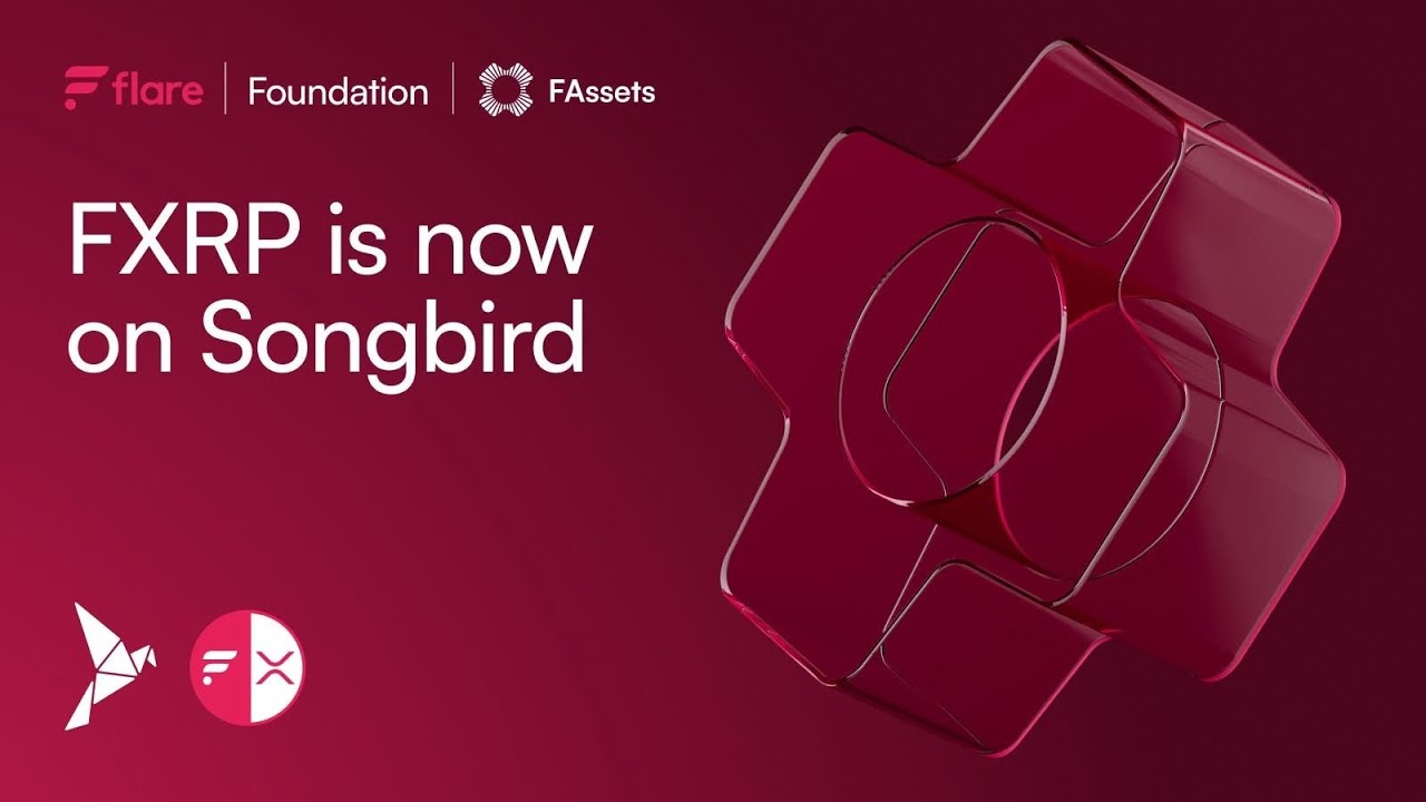 How to Mint & Redeem FXRP on Flare Network: Step-by-Step Guide + DeFi ...