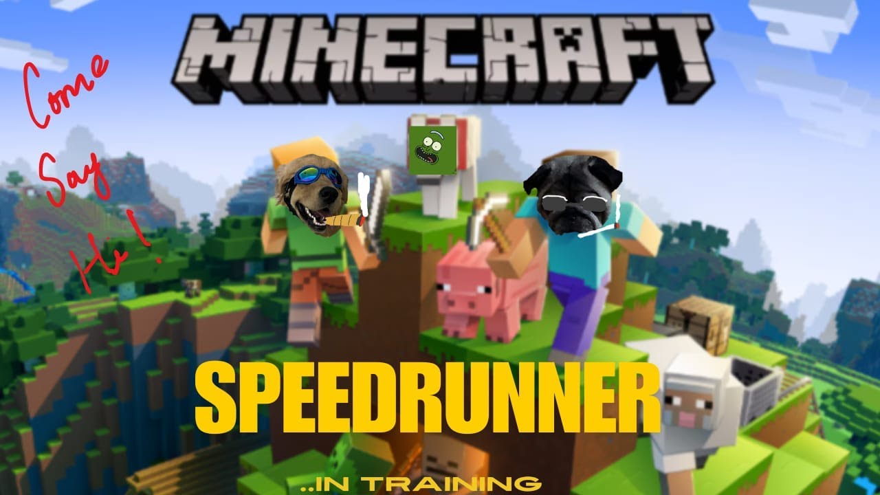 DIAMONDS | MY INTERNET GAVE OUT | Minecraft #ScuffedInternet #Minecraft ...