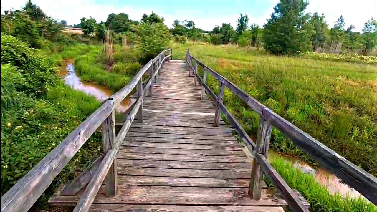 Day 10: Natchez Trace National Scenic Trail thru-hike - YouTube