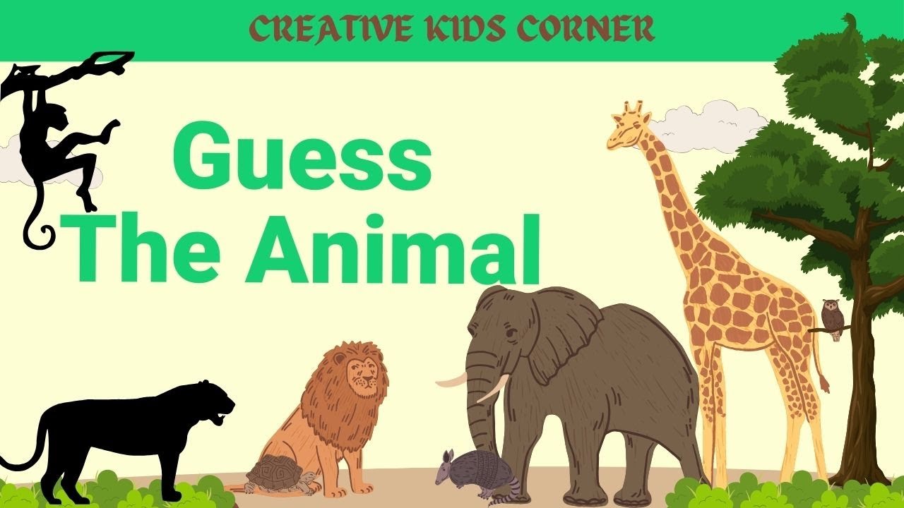 Guess the Hidden Animals by SHADOW - YouTube