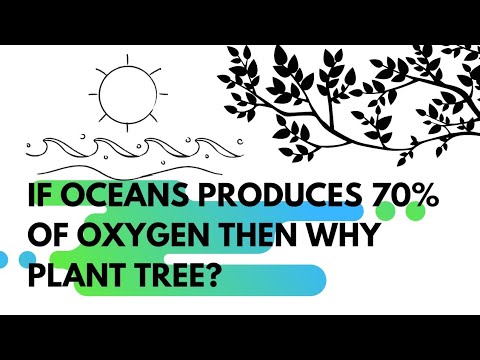 If Oceans Produces 70% of Oxygen Then Why Plant Trees ? - YouTube