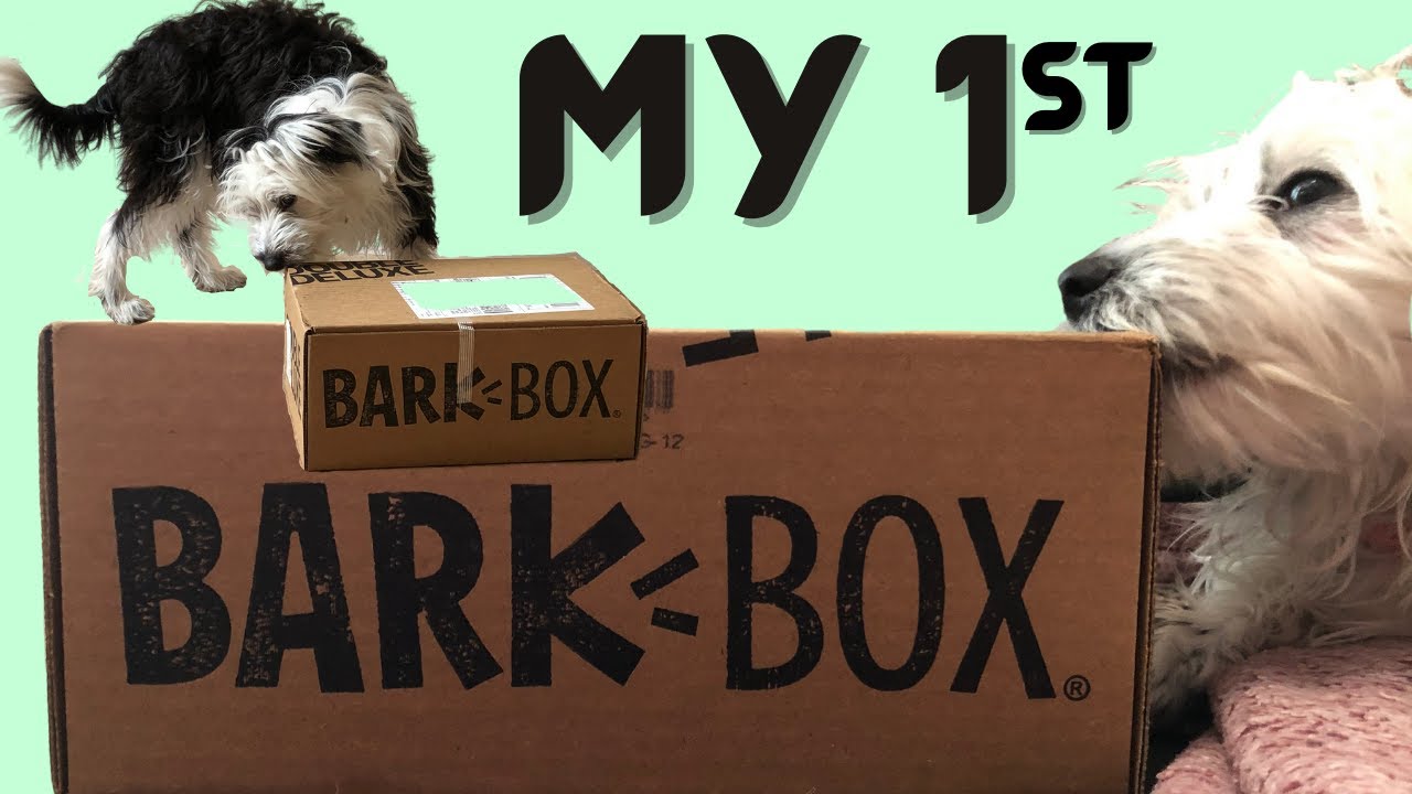 Puppy's 1st BarkBox Unboxing April 2021. Can't Wait to See What's ...