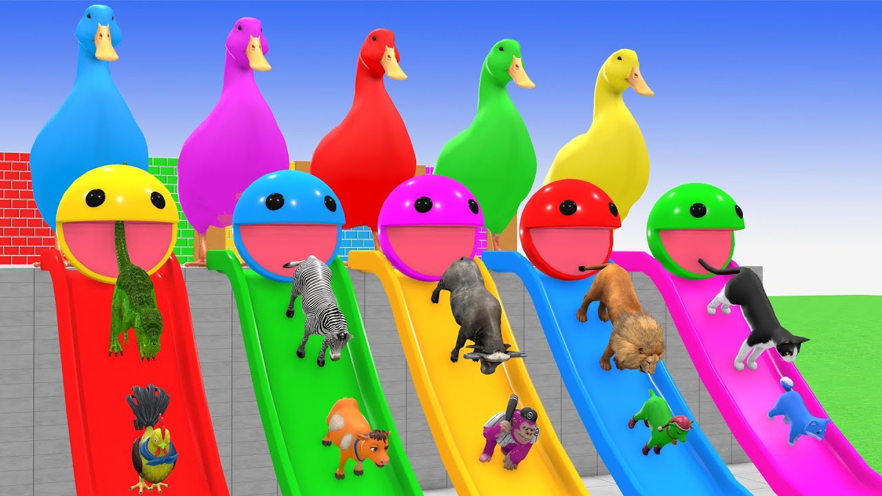 Long Slide Game With Elephant Gorilla Buffalo Hippopotamus Tiger - 3d ...