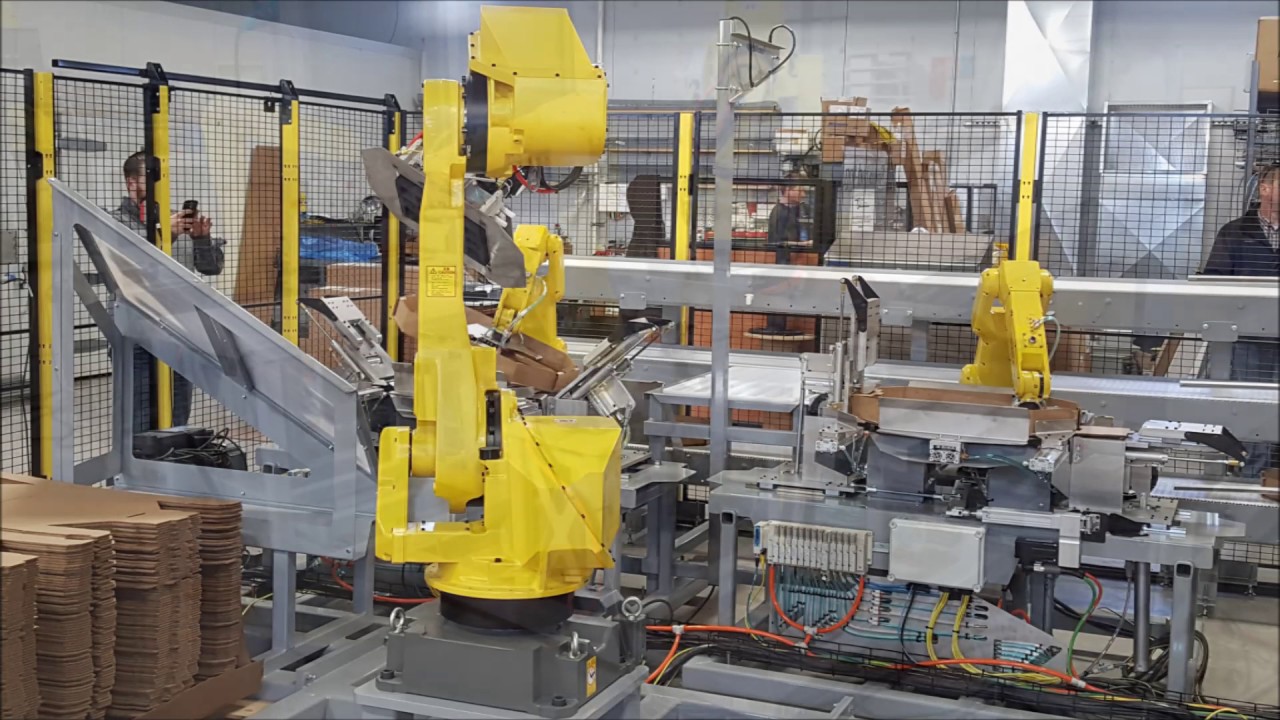 Custom Robotic Tray Forming System Erecting Cases & Trays - YouTube
