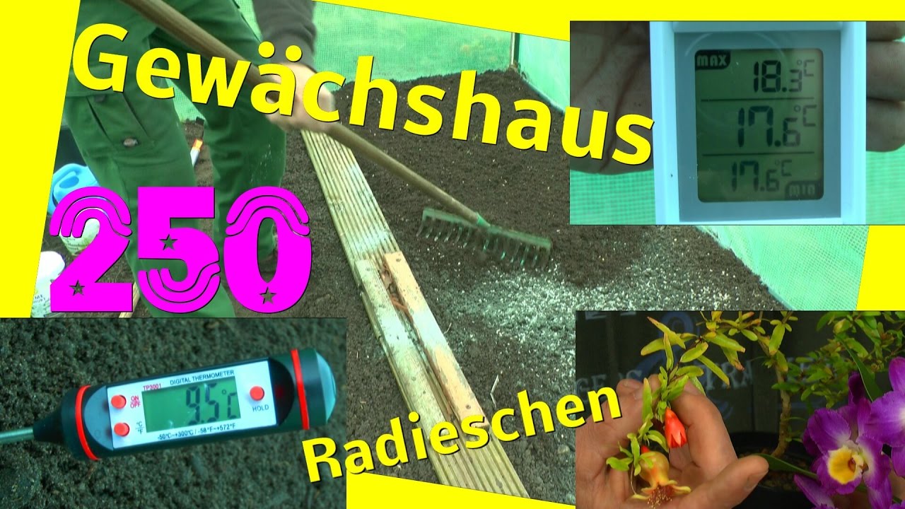 Temperatur Im Gewachshaus
