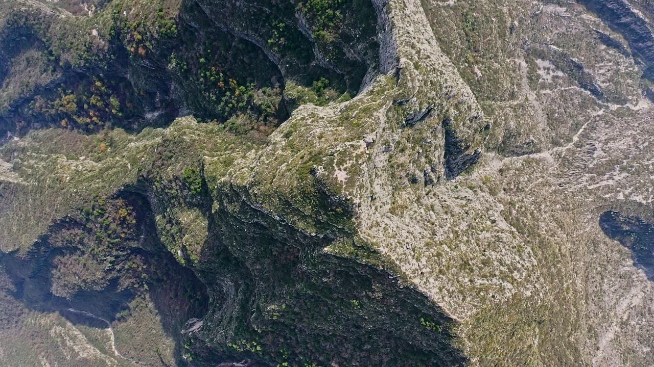 Pico Perico - YouTube