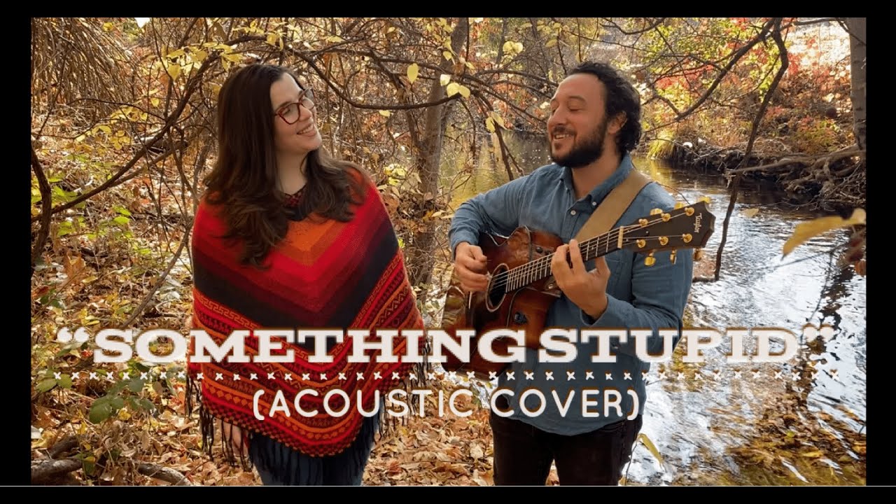 Something Stupid | Frank & Nancy Sinatra | The Sun Followers - YouTube