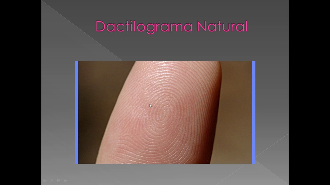 Dactiloscopia cap 1: conceptos, dactilogramas. - YouTube