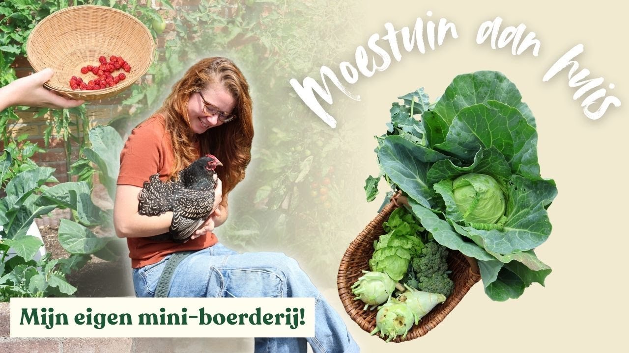Moestuin aan huis | Het onderhouden van een kleine boerderij - YouTube