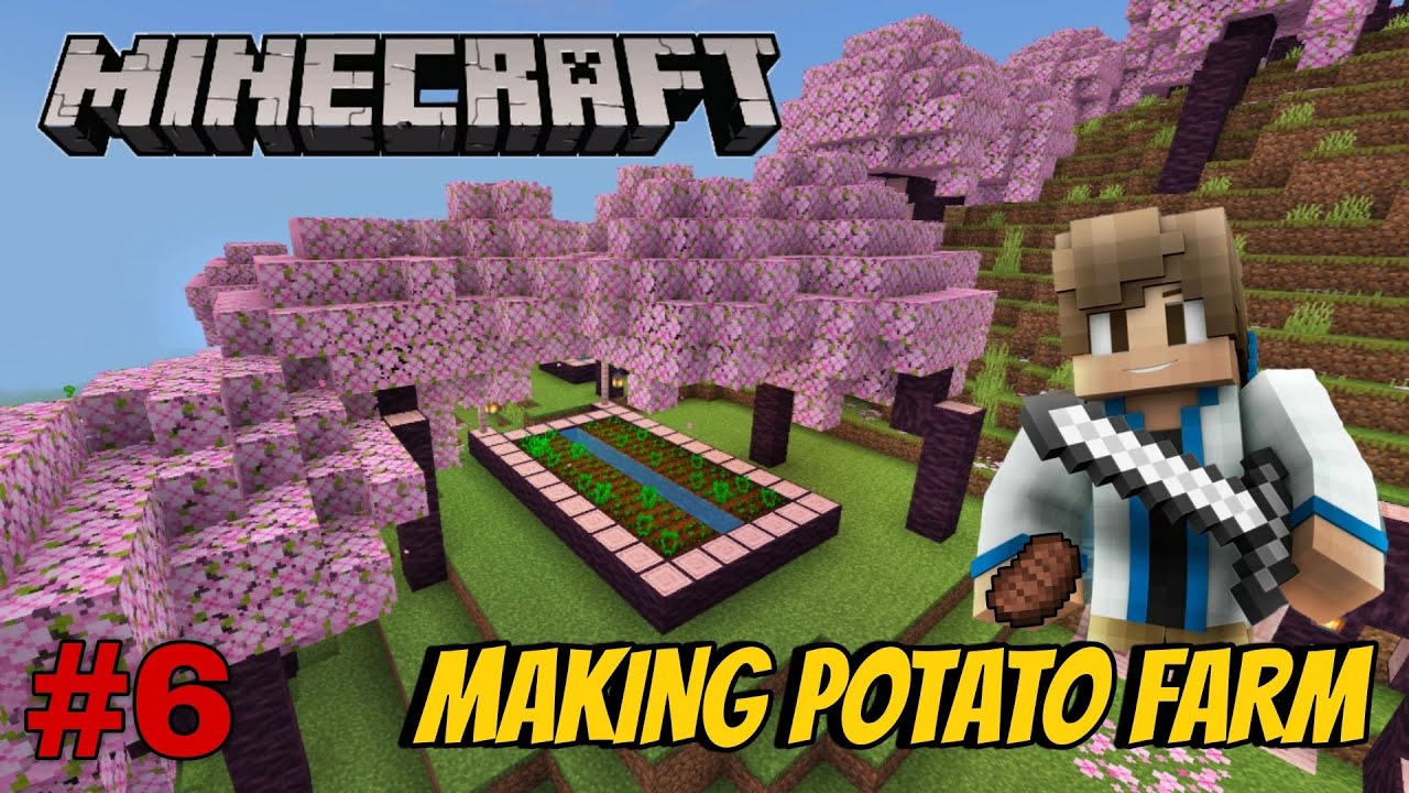 Making Potato Farm | Survival Series | Minecraft PE - YouTube