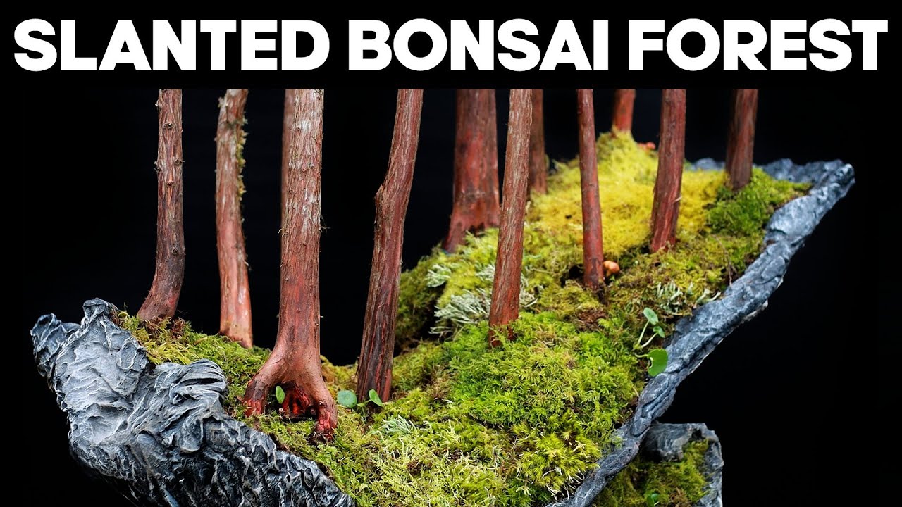 How To Make A Slanted Bonsai Forest - YouTube