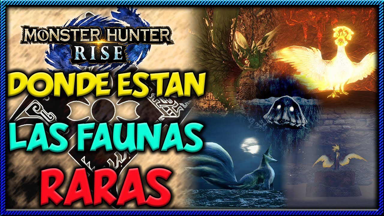 ¿Donde esta la Fauna Rara? | Monster Hunter Rise - YouTube