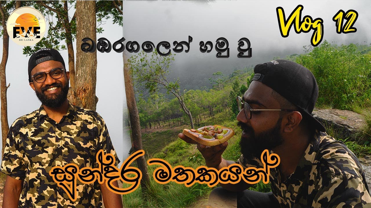vlog 12 : බඹරගල පතන| Camping cooking | පාන් pizza | Babaragala pathana ...