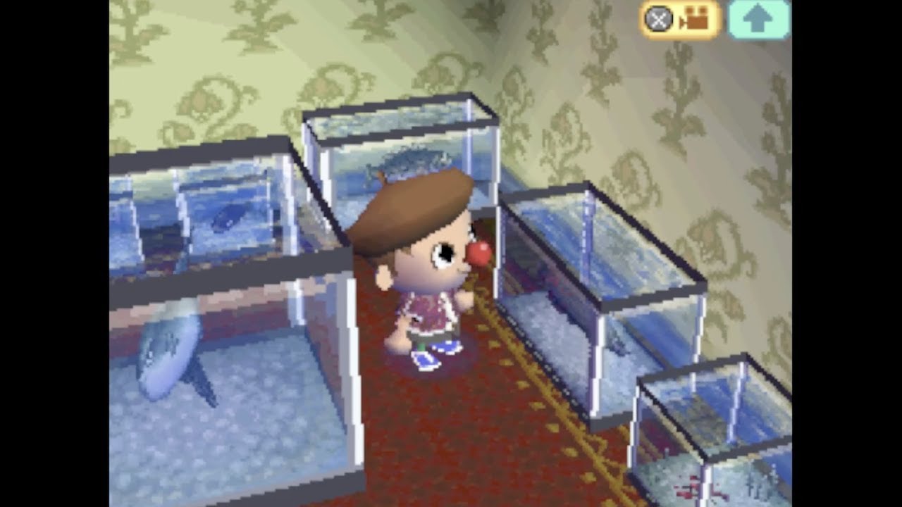 [ROM] Animal Crossing: Wild World (Bonus Day #47) "It's Like A Museum ...