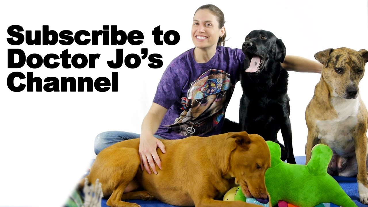 Subscribe to Doctor Jo's Channel - Ask Doctor Jo - YouTube