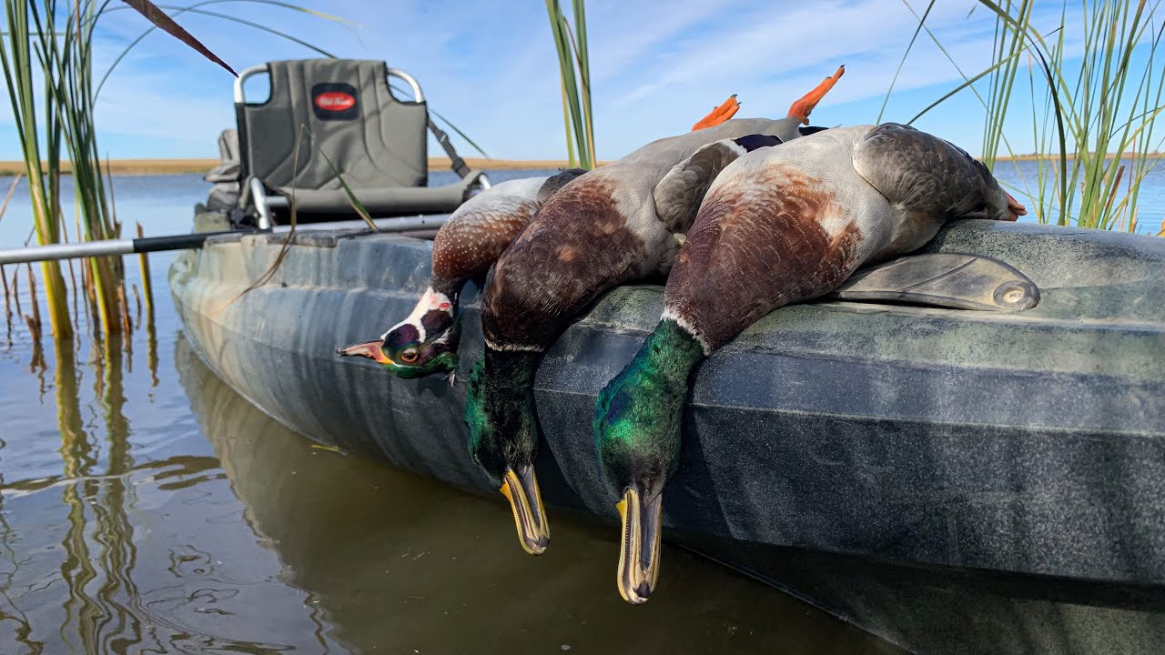 Solo Kayak Public Land Duck Hunting! (CATCH CLEAN COOK) - YouTube