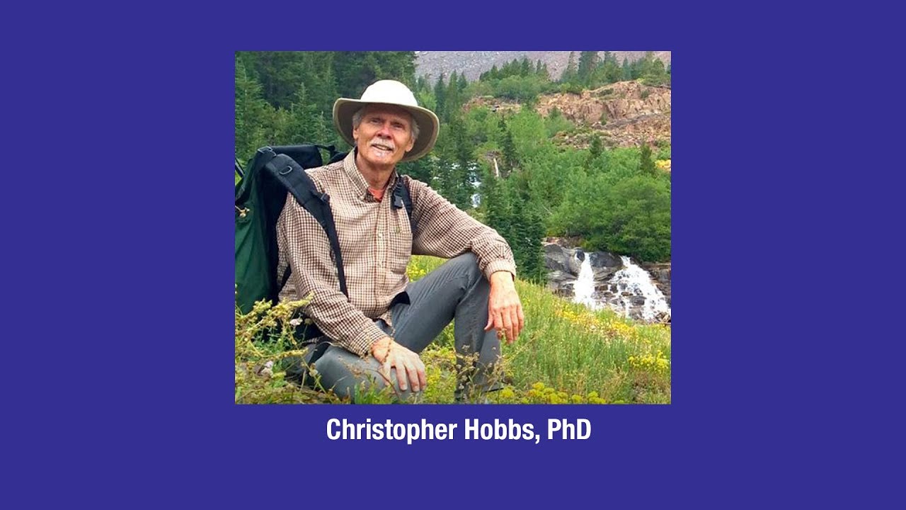 Christopher Hobbs, PhD Medicinal Mushrooms, A Clinician's Overview ...