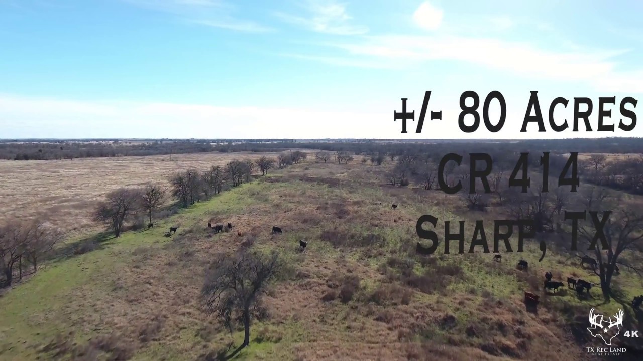 80 Acres: CR 414, Sharp, TX-4K - YouTube