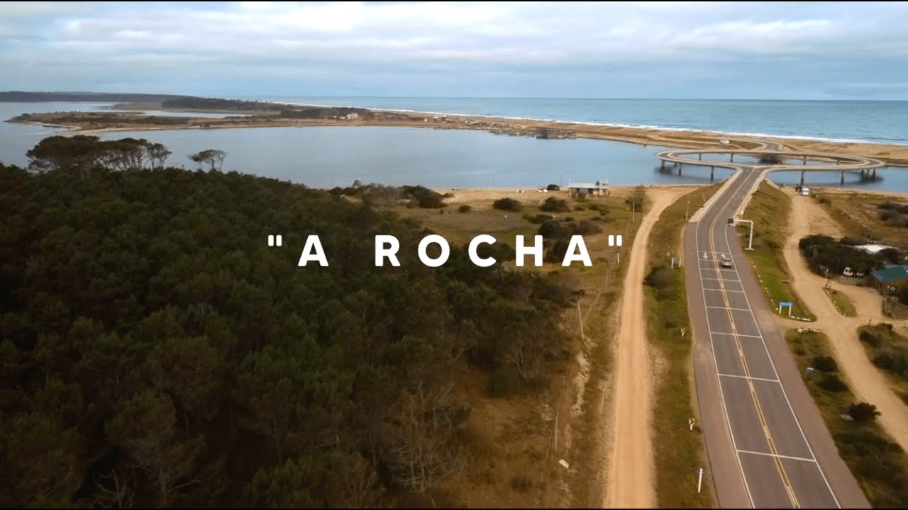 "A Rocha" - Teaser - YouTube